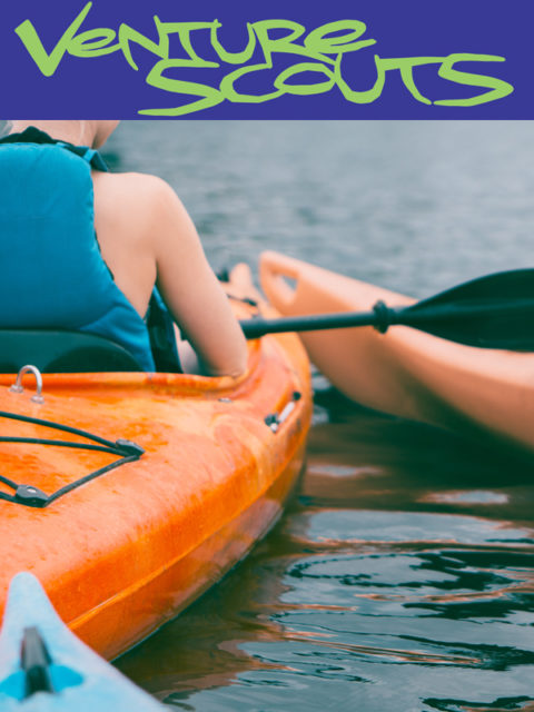 Beavers | Donabate Scouting